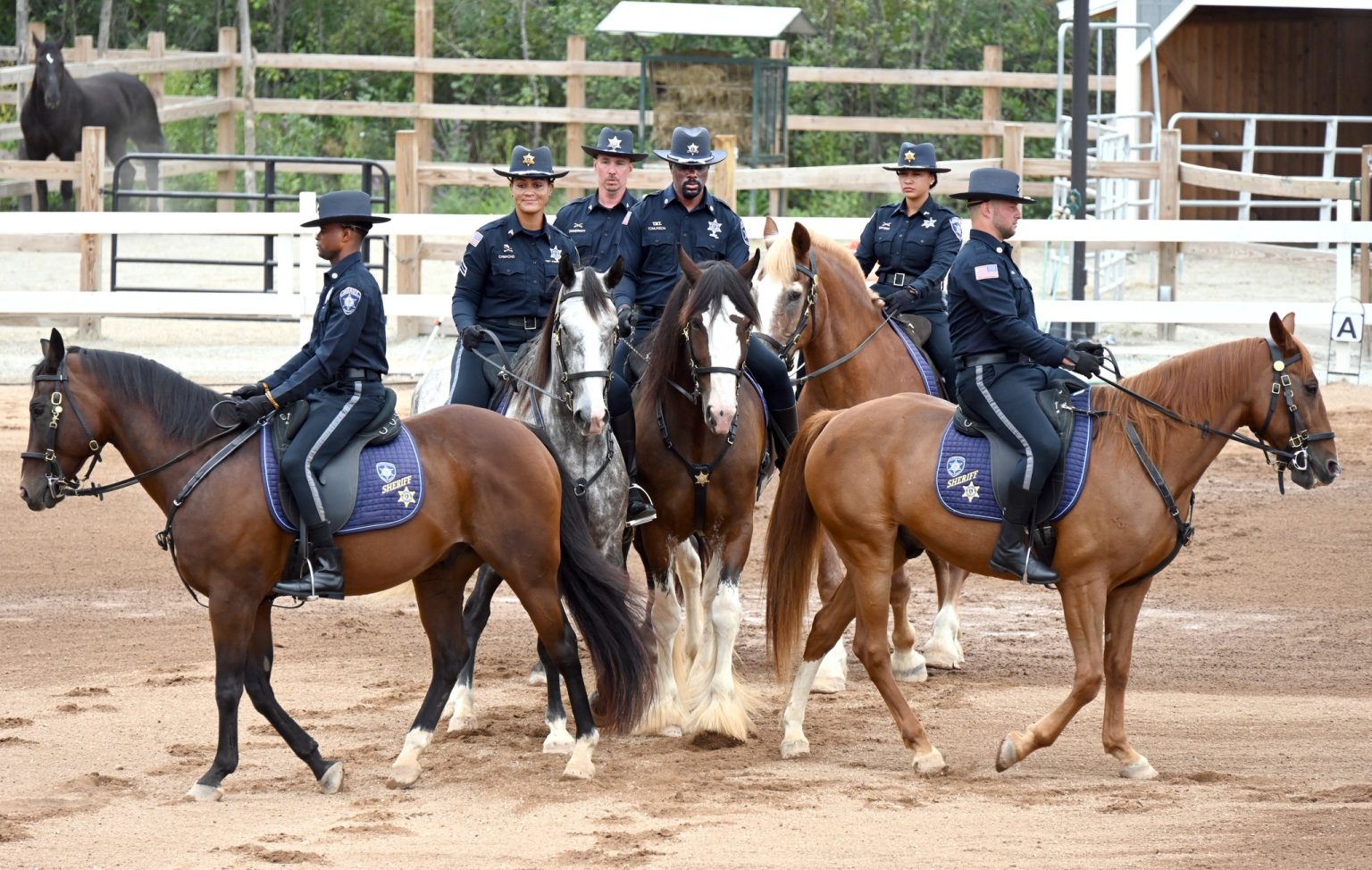 HCSO Mounted Patrol Unit - Sheriff